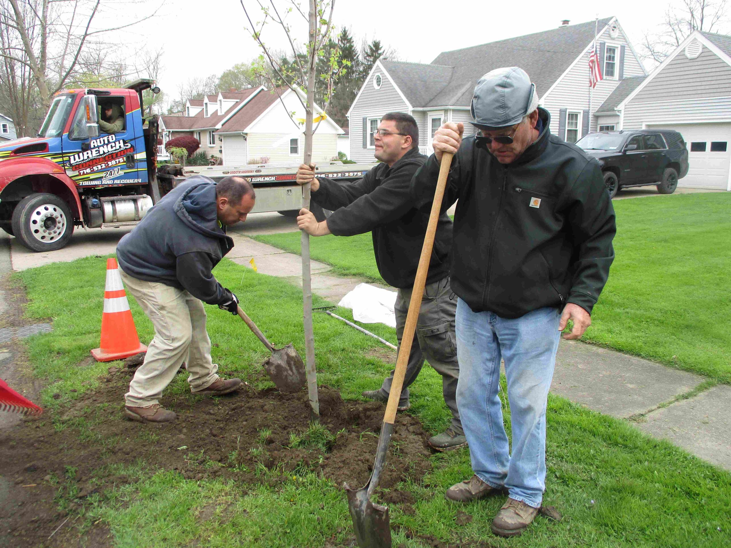 Gowanda plants trees for Arbor Day | News, Sports, Jobs - Observer Today